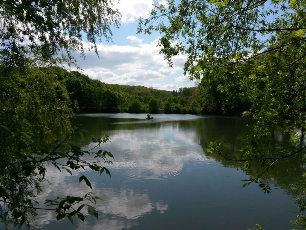 Walbeck Fisch - Historie